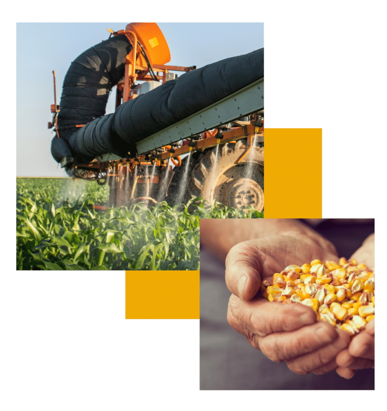 Corn Yield Calculator | Maximize Profit | Avipel