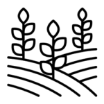 Bird Repellent Seed Corn Treatment | Increase Crop Yield | Avipel