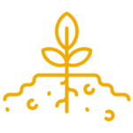 Bird Repellent Seed Corn Treatment | Increase Crop Yield | Avipel